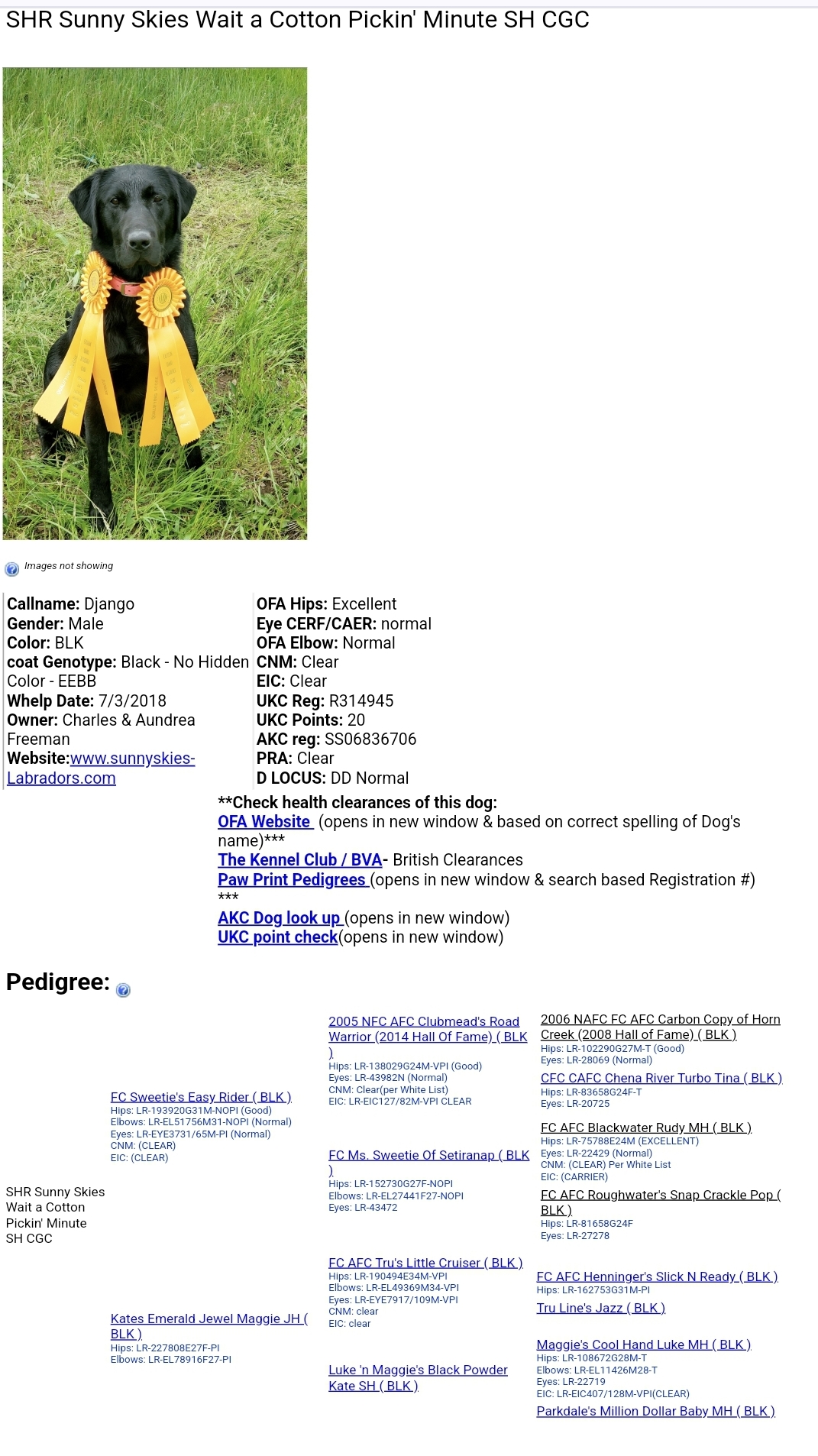 Started dogs – Sunny Skies Retrievers .LLC